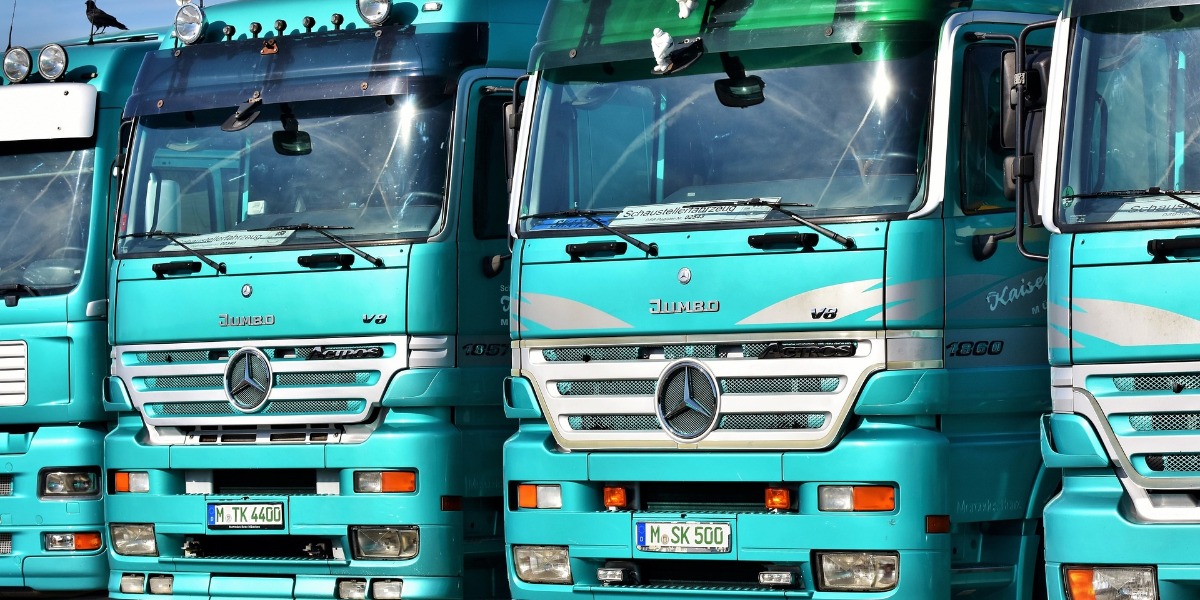 The stated aim of the BIREG system is to protect domestic road ...